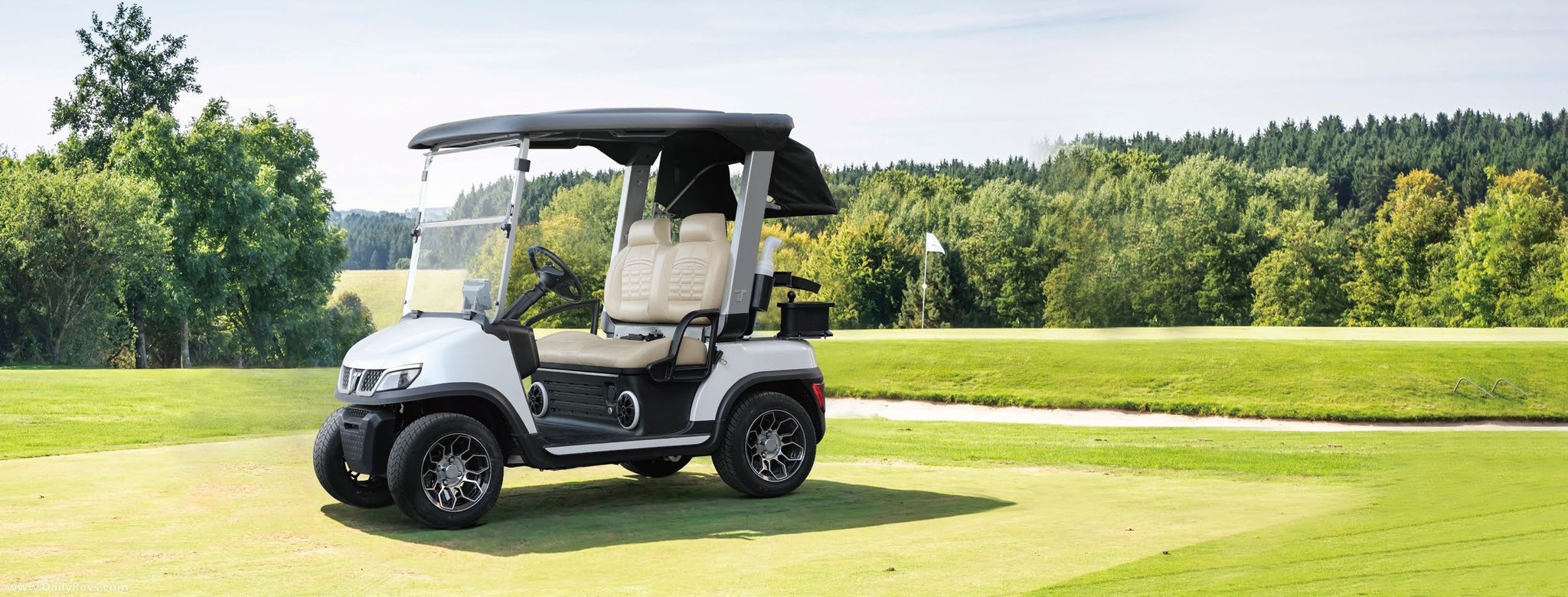 What Type of Battery Is Best for a Golf Cart? | Leoch Lithium America