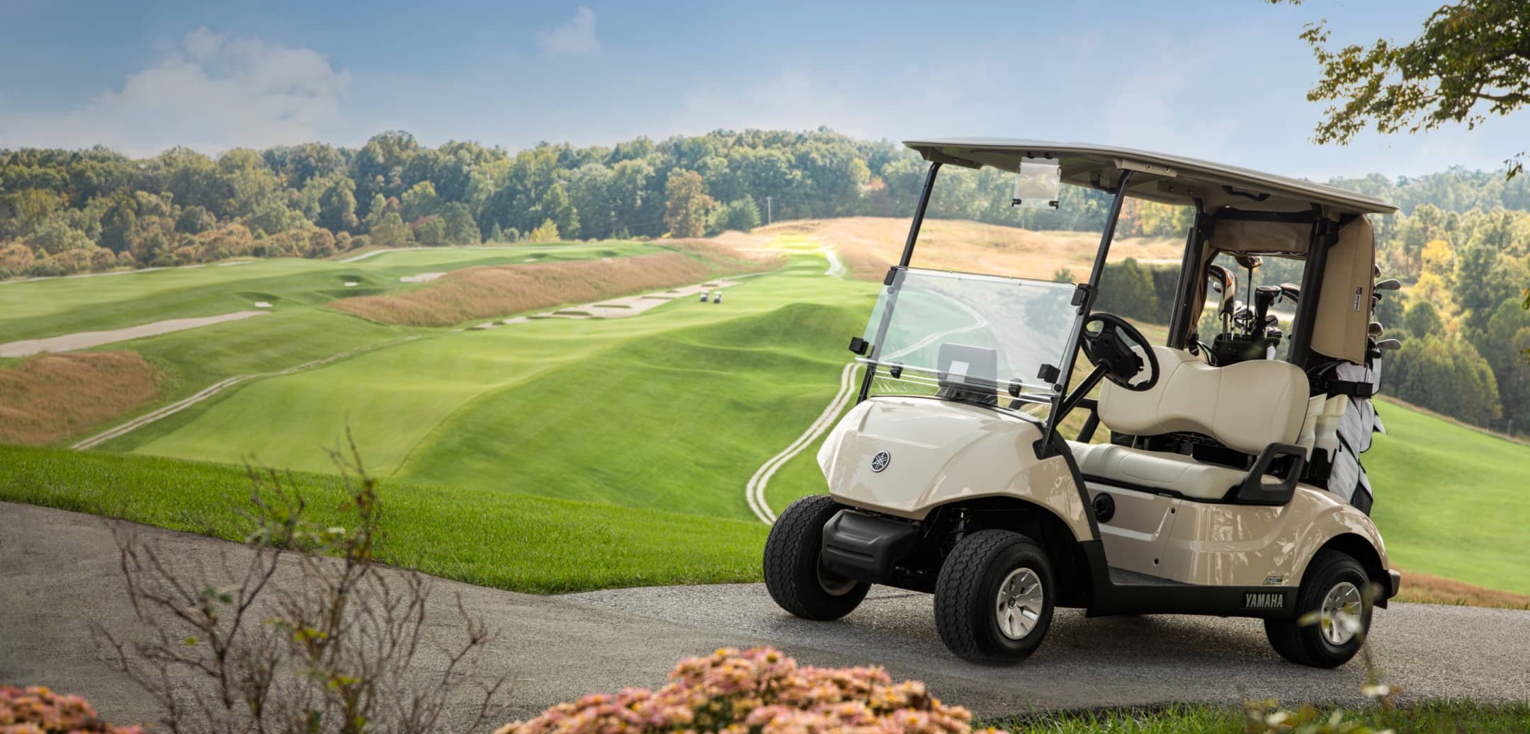 How Much Are Lithium Golf Cart Batteries? (2026 Price Guide + Real Cost ...