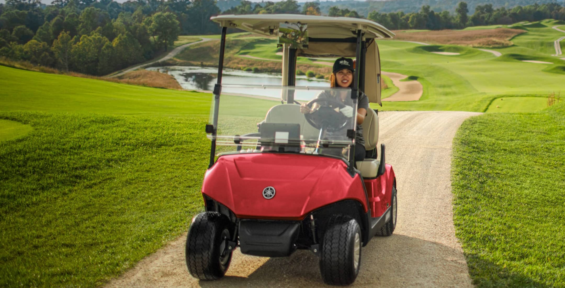 Gel Batteries for Golf Carts: Pros, Cons, and How They Compare to ...