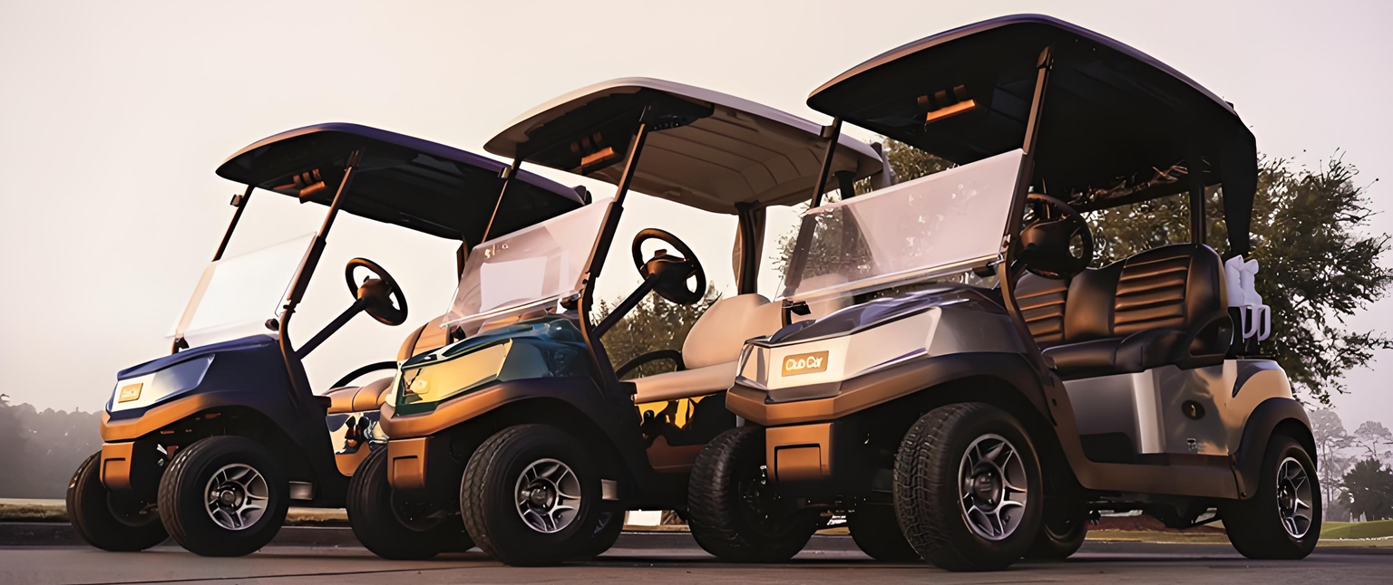LiFePO₄ Golf Cart Battery: What Fleet Managers Need to Know | Leoch ...